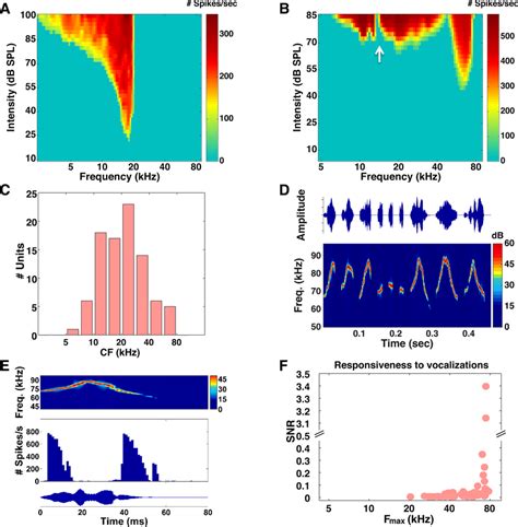 Auditory Nerve Responses To Tones And Vocalizations A Fra Of A Download Scientific Diagram