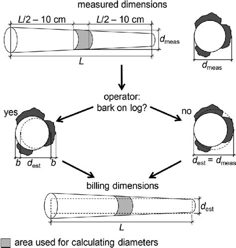 From Log Measurements To Dimensions For Billing L Length Of Log B Download Scientific