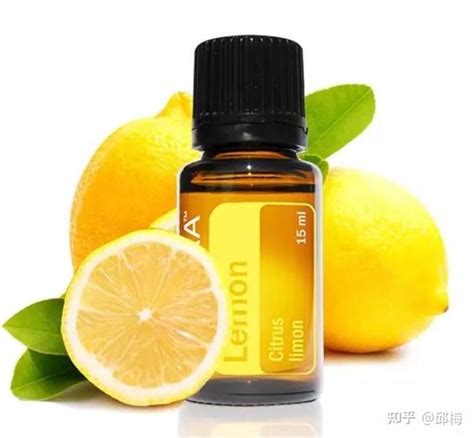 柑橘类精油 知乎