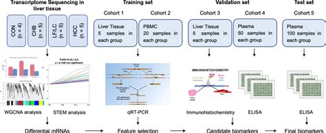 Figure 1 From Identification And Validation Of Novel Biomarkers For Hepatocellular Carcinoma