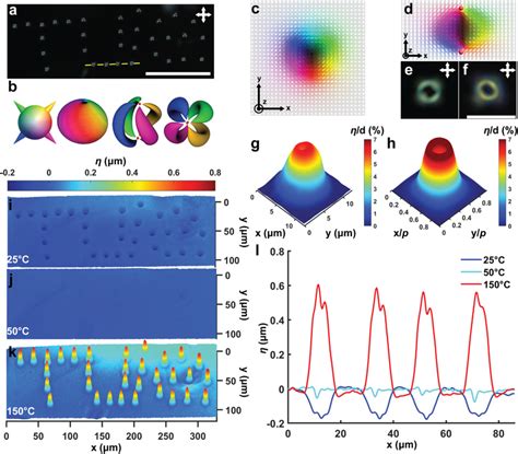 Polymerized Homeotropic Liquid Crystal With Embedded Torons A Download Scientific Diagram