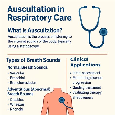 Auscultation Of The Lungs Overview And Practice Questions