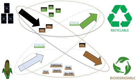 Polymer Biology Chapter 3