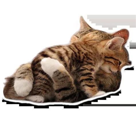 Sexy Animals Sticker Pack For Whatsapp