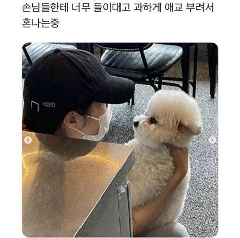기분 좋은 사진 보시고 기분 좋게 마무리하세요 캐시피드