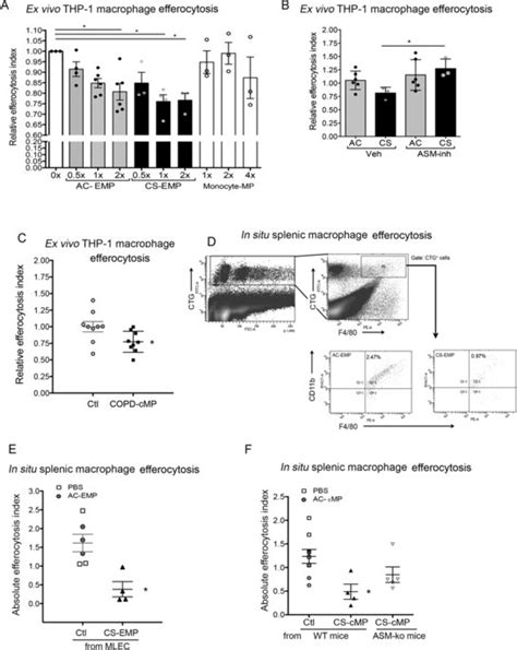 Effect Of Microparticles On Macrophage Efferocytosis A Relative
