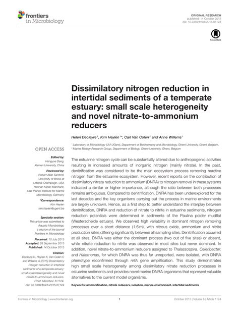 Pdf Dissimilatory Nitrogen Reduction In Intertidal Sediments Of A Temperate Estuary Small