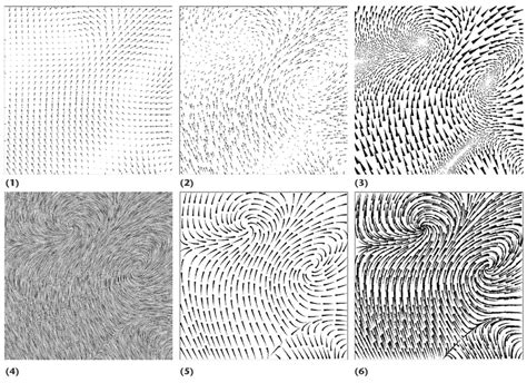 Figure A Six Methods For Visualizing The Same 2d Vector Field They