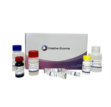 Cns Models Immune Models Cancer Models Customizable Cell Assays Creative Bioarray Cellassay