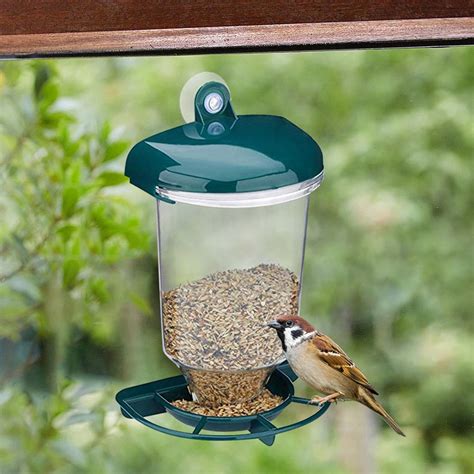 Zhourta Hopper Wild Bird Feeder Recycled Acrylic Window With Strong