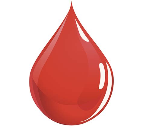 coisas que você deveria saber antes de fazer sexo pela primeira vez Mulher Comportamento