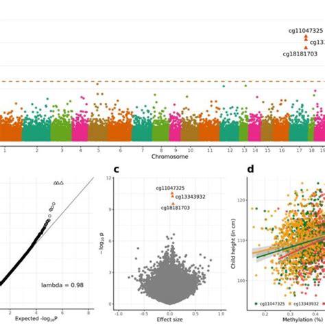 Analysis Work Flow Ewas Epigenome Wide Association Study Lmic