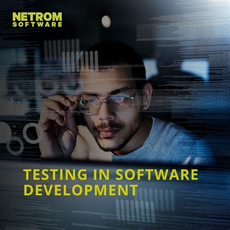 Whitepaper Testing In Software Development NetRom Software