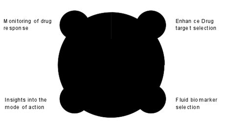 Biomarker Discovery Services