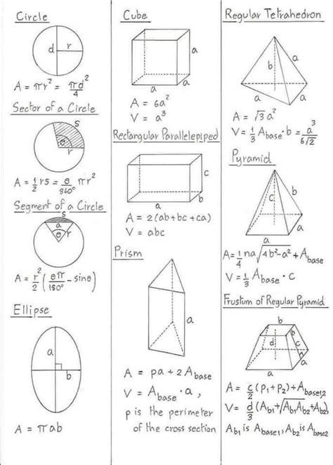 shapes and their functions worksheet