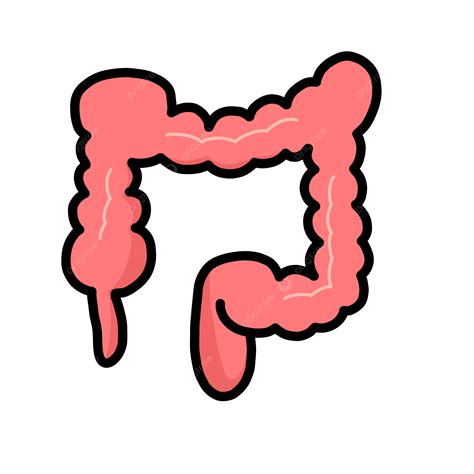 Large Intestine Cartoon