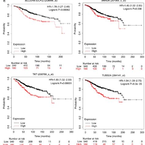 A E Kaplan Meir Survival Curves In Erα Positive Breast Cancer