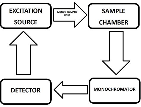 Molecular Analysis Using Fluorescence Spectroscopy 2025