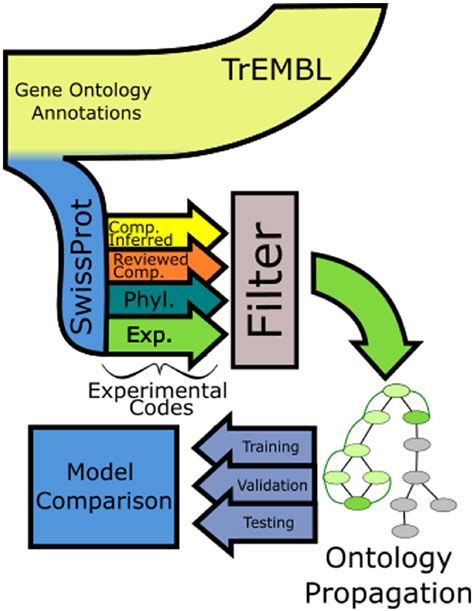 The Go Bench Data Pipeline Extracts Annotated Swissprot Sequences From Download Scientific