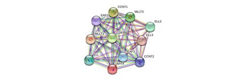 Fusionpdb Fusion Protein Annotation Database Search