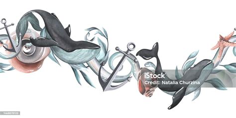 조류 조개 앵커 파도와 반점 페인트가 튀는 고래 수채화 그림입니다 Whales 컬렉션의 원활한 보드 템플릿 초대장의 장식 및 디자인 거인에 대한 스톡 벡터 아트 및 기타
