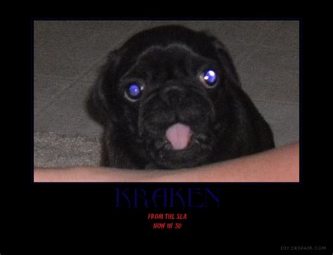 When Loki The Pug Was A Pup Imgur