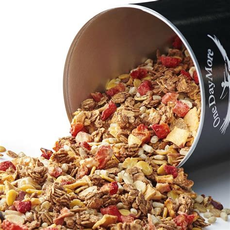 Protein-Granola - OneDayMore