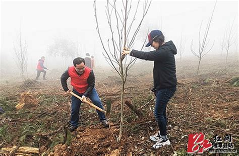中路铺镇：植树添绿正当时 我们在行动乡镇·社区湘潭县新闻网