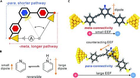 A Single Molecule Device Based On Connectivity Switching Download Scientific Diagram