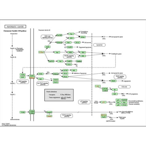 Genomic Annotation In Bioconductor The General Situation