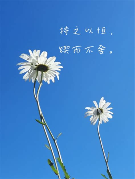 Ctf：网络安全的实战演练场ctf实际操作比赛 Csdn博客