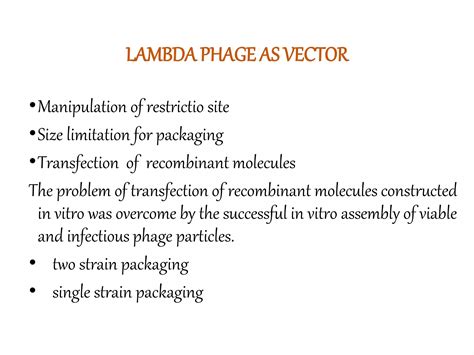 Plasmid And Phage Vector Pptx