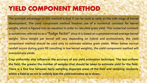 Yield Contributing Character Of Maize Pptx