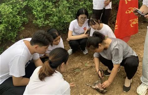 农牧系暑期社会实践活动纪实 邯郸科技职业学院