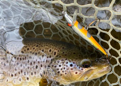 These 3 Classic Jerkbaits Are Still The Best Outdoor Life
