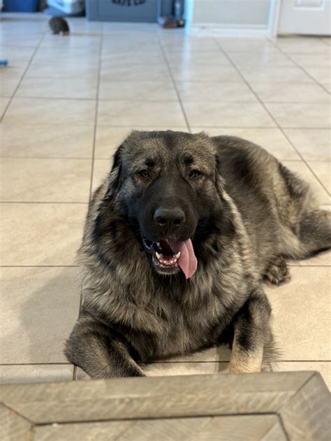 C3 Ad32 F0 A7 Be 4 F3 F 96 Fd 588 B29 A1 F3 Bf Hosted At Imgbb — Imgbb