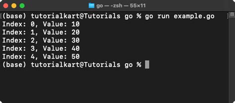 Golang For Loop Array