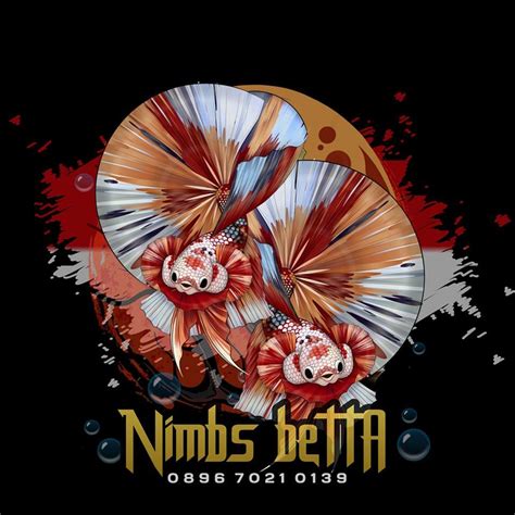 Nimbs Betta