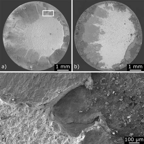 Fracture Surface Of A Pre Corroded Brazed Specimen After Fatigue Download Scientific Diagram