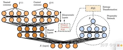 通俗解释因果推理 Causal Inference 知乎