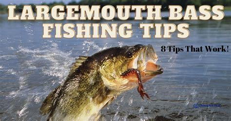 Largemouth Bass Fishing Tips 8 Tips That Work