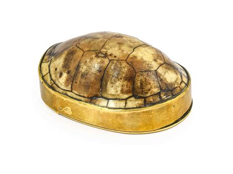 Lot 1003 A Brass Mounted Blonde Mud Turtle Shell