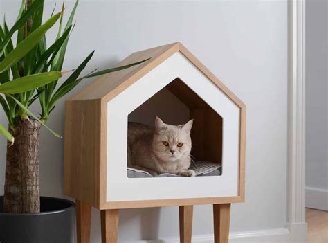 Rumah Kucing Dari Kayu Homecare