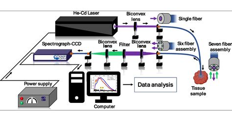 Machine Learning Empowered A Graphical User Interface On Native