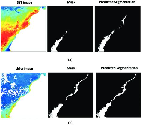 Result Of Segmentation Obtained By Applying The U Net Structure To A Download Scientific