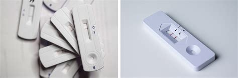 3 Reasons Lateral Flow Assay Strips Save Lives Antiteck