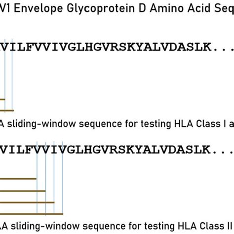 Schematic Diagram To Illustrate The Sliding Window Approach For Download Scientific Diagram