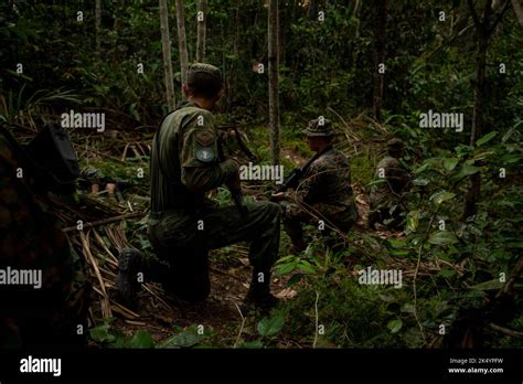 A Brazilian Marine And U S Marines With 2d Battalion 2d Marine Regiment 2d Marine Division
