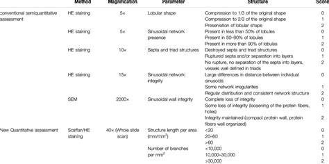 morphological multi scale evaluation system download scientific diagram