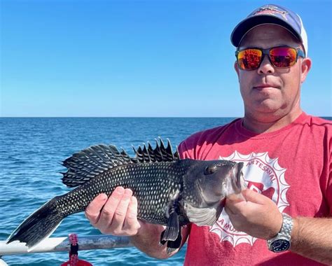 Swordfish And Tilefish Are Snapping Ocean City Md Fishing